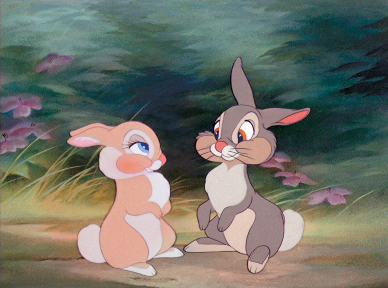 thumper with background