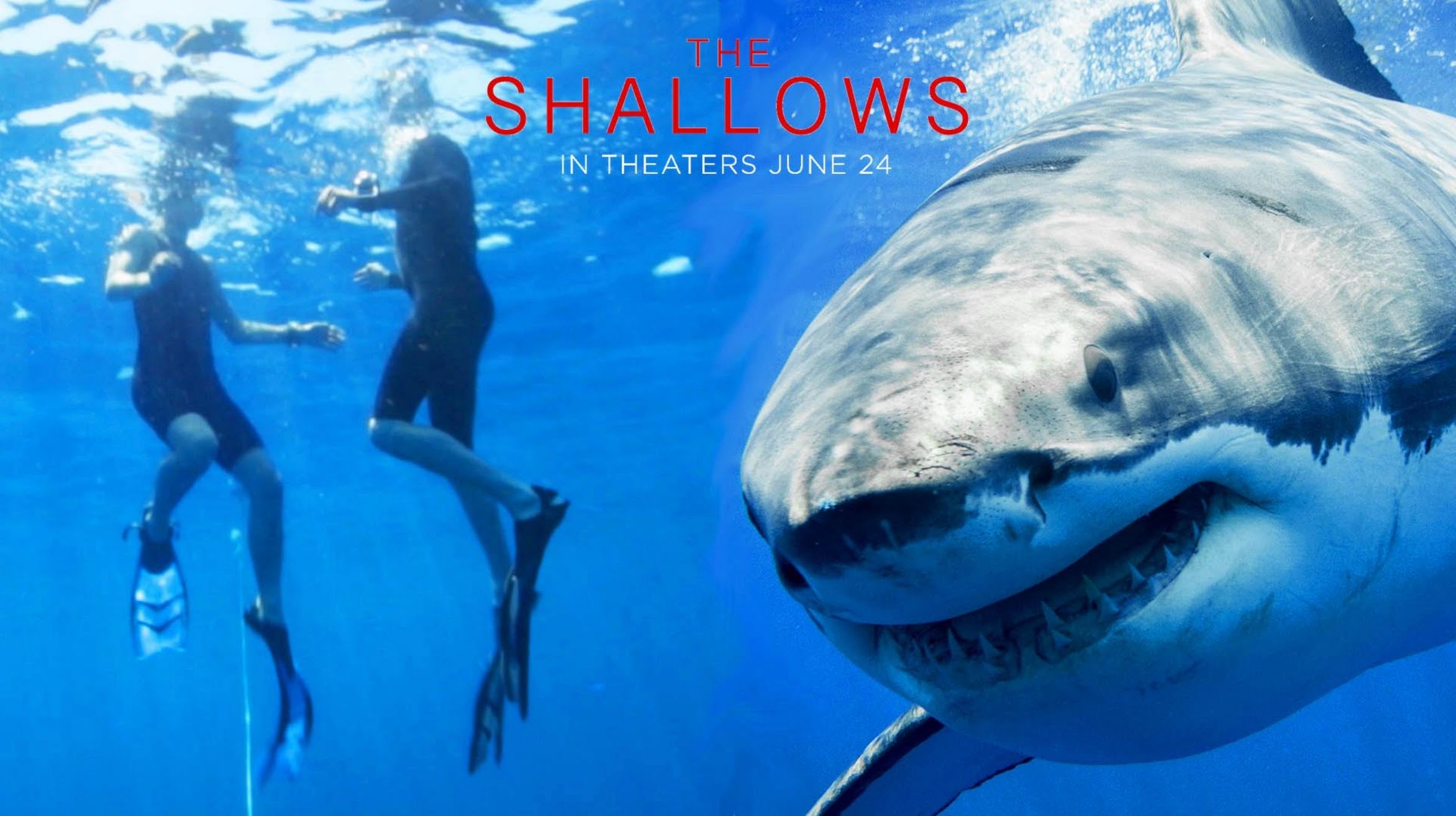 The Shallows and Cafe Society Reviews
